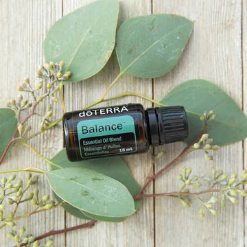 doTERRA Essential Oils Catalog – Shop All Oils for Wellness & Health ...